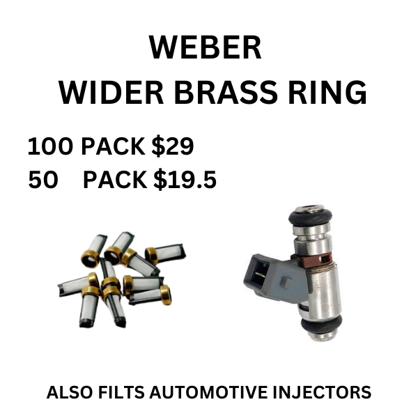 Weber Fuel Injector filter 11012 - Fuel Injectors Inc